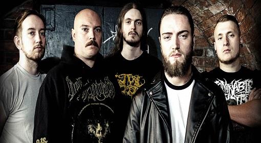 Ingested : MerchNOW - Your Favorite Band Merch, Music and More Ingested : MerchNOW - Your Favorite Band Merch, Music and More
